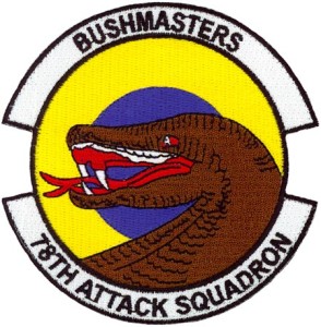 78th ATTACK SQUADRON | Flightline Insignia