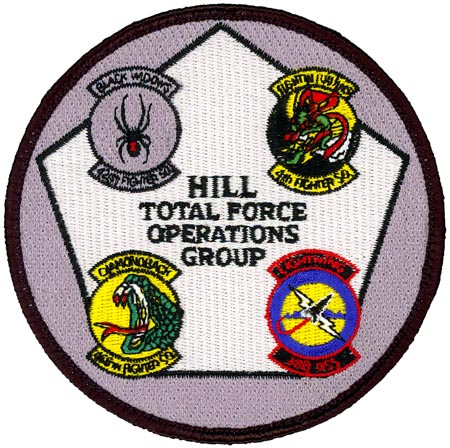 388th Hill Total Force Operations Group | Flightline Insignia
