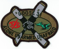1st SPECIAL OPERATIONS SQUADRON CREW GOOSE 31 | Flightline Insignia