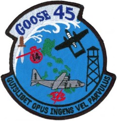 1st SPECIAL OPERATIONS SQUADRON CREW GOOSE 45 | Flightline Insignia