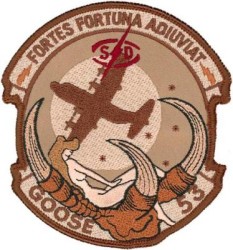 1st SPECIAL OPERATIONS SQUADRON CREW GOOSE 53 – DESERT | Flightline ...