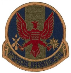 1st SPECIAL OPERATIONS SQUADRON – SUBDUED | Flightline Insignia