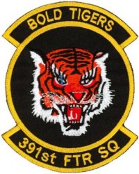 391st FIGHTER SQUADRON | Flightline Insignia