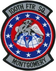 100th FIGHTER SQUADRON | Flightline Insignia