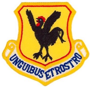 18th WING | Flightline Insignia
