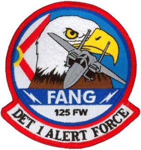 125th FIGHTER WING – DETACHMENT-1 | Flightline Insignia