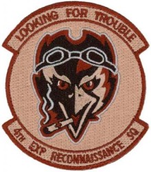 4th EXPEDITIONARY RECONNAISSANCE SQUADRON – DESERT | Flightline Insignia