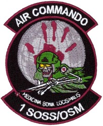 1st SPECIAL OPERATIONS SUPPORT SQUADRON OPERATIONAL SUPPORT ...