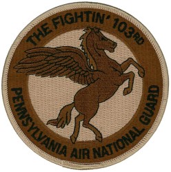 103rd FIGHTER SQUADRON – DESERT | Flightline Insignia