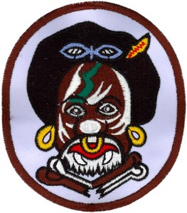 80th FIGHTER SQUADRON | Flightline Insignia