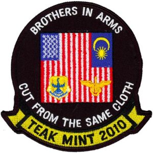 353rd SPECIAL OPERATIONS GROUP – TEAK MINT 2010 | Flightline Insignia