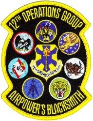 12th OPERATIONS GROUP – GAGGLE | Flightline Insignia