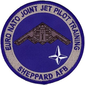 80th OPERATIONS GROUP – ENJJPT – B-2 SPIRIT | Flightline Insignia