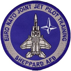 80th OPERATIONS GROUP – ENJJPT – F-15 EAGLE | Flightline Insignia