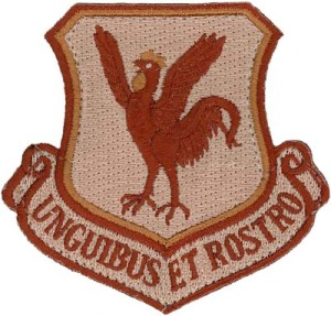 18th WING – DESERT | Flightline Insignia