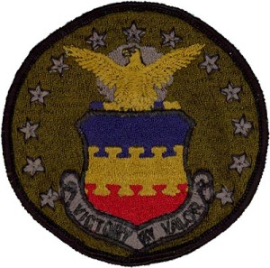 20th TACTICAL FIGHTER WING – SUBDUED – LARGE | Flightline Insignia