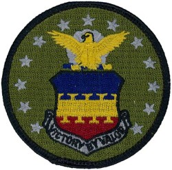 20th TACTICAL FIGHTER WING – SUBDUED | Flightline Insignia