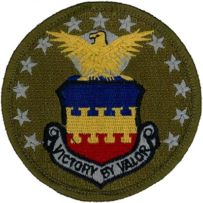 20th TACTICAL FIGHTER WING – SUBDUED | Flightline Insignia