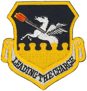51st FIGHTER WING – BLACK | Flightline Insignia