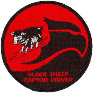 49th OPERATIONS SUPPORT SQUADRON – BLACK SHEEP RAPTOR DRIVER ...
