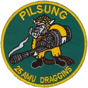 Product categories SQUADRONS – 25 | Flightline Insignia