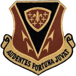 366th FIGHTER WING – DESERT | Flightline Insignia