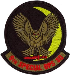 9th SPECIAL OPERATIONS SQUADRON | Flightline Insignia