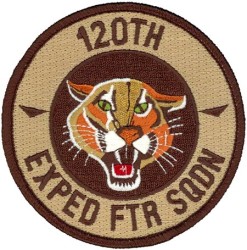120th EXPEDITIONARY FIGHTER SQUADRON – DESERT | Flightline Insignia