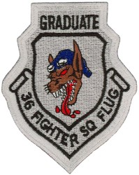 36th FIGHTER SQUADRON – GRADUATE – FLUG | Flightline Insignia