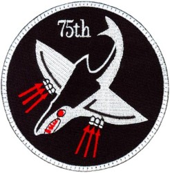 75th FIGHTER SQUADRON – HERITAGE | Flightline Insignia