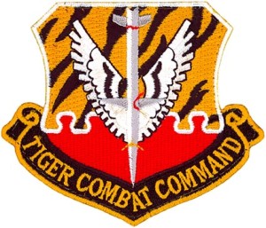 79th FIGHTER SQUADRON – TIGER COMBAT COMMAND | Flightline Insignia