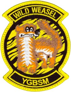 79th FIGHTER SQUADRON – WILD WEASEL – YGBSM | Flightline Insignia