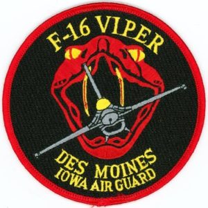 124th FIGHTER SQUADRON – F-16 VIPER | Flightline Insignia