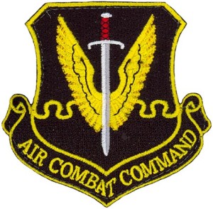179th FIGHTER SQUADRON – AIR COMBAT COMMAND | Flightline Insignia