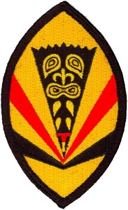 199th FIGHTER SQUADRON | Flightline Insignia