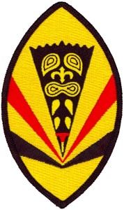 199th FIGHTER SQUADRON | Flightline Insignia