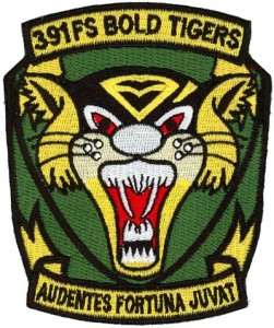 391st FIGHTER SQUADRON – AUDENTES FORTUNA JUVAT | Flightline Insignia