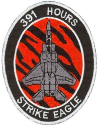 391st FIGHTER SQUADRON – F-15E – 391 HOURS | Flightline Insignia
