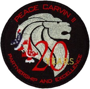 425th FIGHTER SQUADRON – 20 YEAR ANNIVERSARY | Flightline Insignia