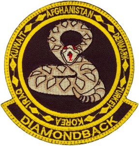 466th EXPEDITIONARY FIGHTER SQUADRON – THEATER SECURITY PACKAGE 2011 ...