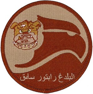 525th EXPEDITIONARY FIGHTER SQUADRON – BULLDOG RAPTOR DRIVER – MIDDLE ...