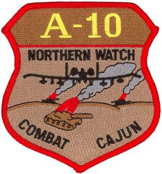 706th FIGHTER SQUADRON – A-10 – NORTHERN WATCH | Flightline Insignia