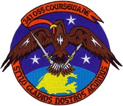 341st OPERATIONS SUPPORT SQUADRON – COURSEWARE | Flightline Insignia