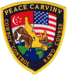 266th RANGE SQUADRON – PEACE CARVIN V – COWBOY CONTROL | Flightline ...