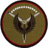 353rd SPECIAL OPERATIONS GROUP – HERITAGE | Flightline Insignia