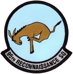 95th RECONNAISSANCE SQUADRON | Flightline Insignia