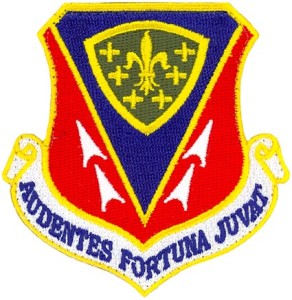 366th FIGHTER WING | Flightline Insignia