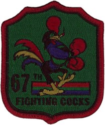 67th FIGHTER SQUADRON – SHIELD – SUBDUED | Flightline Insignia