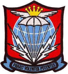 436th OPERATIONS GROUP – HERITAGE | Flightline Insignia