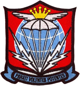 436th OPERATIONS GROUP – HERITAGE | Flightline Insignia